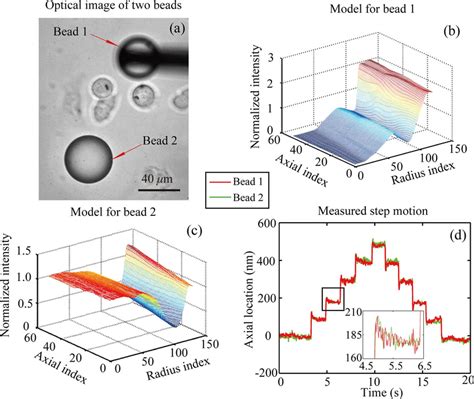 A Optical Microscope Image Of The Beads Used In The Measurement B Download Scientific