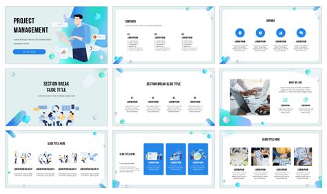 Project Management Diagram Ppt Management Project Basic Diag
