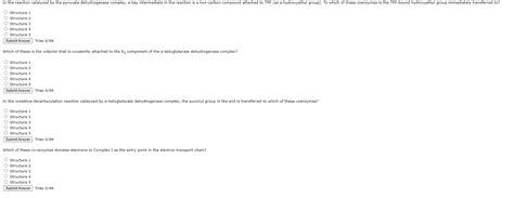 Solved Identify The Correct Structures For The Following Chegg Com