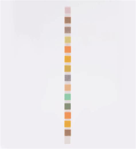 Paper Urine Test Strip For Hospital 20 Miu Ml At ₹ 400 Box In Mumbai Id 2852601877788