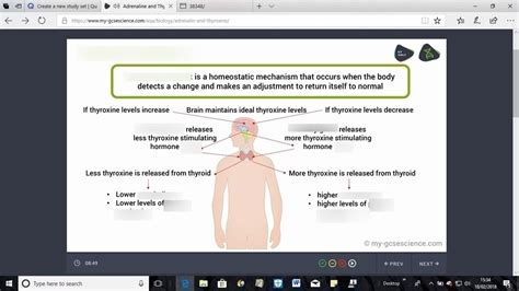 Thyroxine Diagram Quizlet
