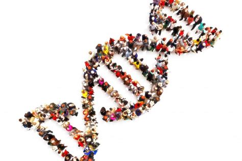 Dna Comparison Choice Dna