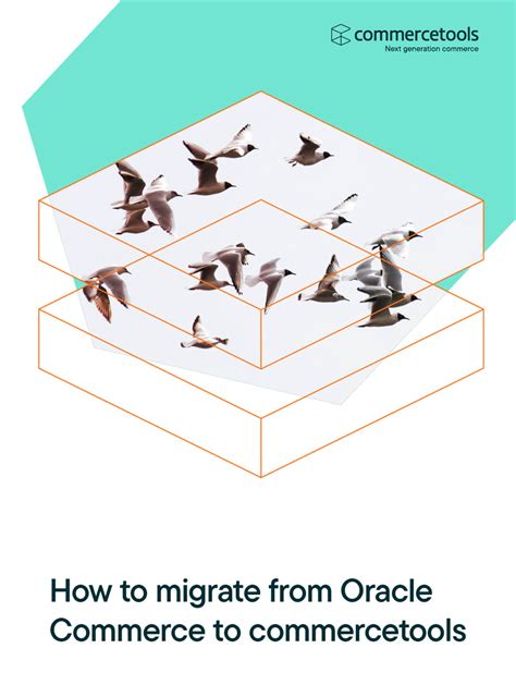 Oracle Atg Migration Guide White Paper Commercetools