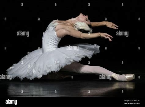 Funny Ballet Dying Swan
