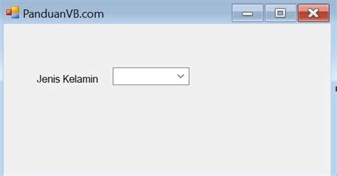 MEMBUAT COMBOBOX DROPDOWN TANPA DATABASE Panduan Pemrograman Visual Basic