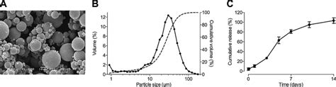Morphology Particle Size Distribution And In Vitro Release Of Ppb Hsa