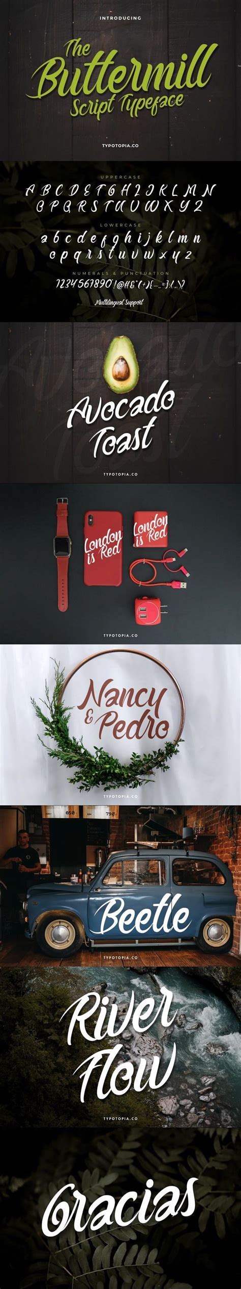 Handwritten Script Font Bundle