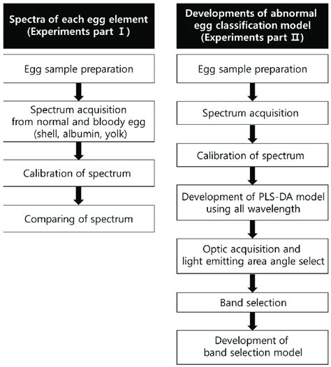 Experiment Flow Chart For The Development Of The Abnormal Egg Detection