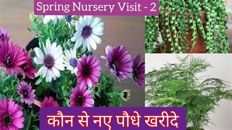 Spring Nursery Visit Part 2 Gardening Livewith Nature Youtube