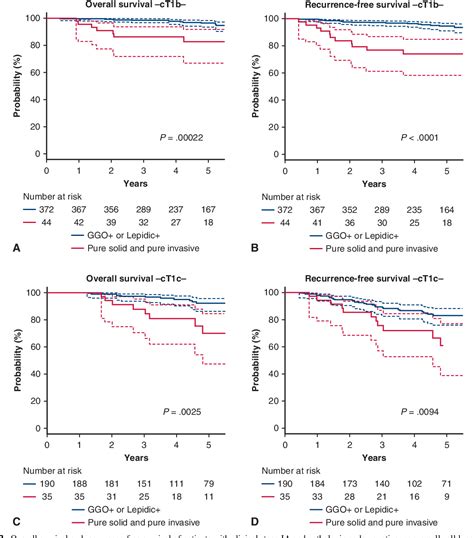 Figure 1 From Role Of Ground Glass Opacity In Pure Invasive And Lepidic Component In Pure Solid