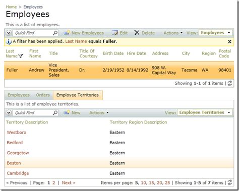 Code On Time Data Controllers Fields Items Style Check Box List Configuring A Virtual
