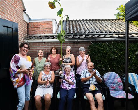 De Bijzondere Zonnebloem Geschiedenis Van De Oerlese Familie De Lepper Duurt Voort Foto Ed Nl