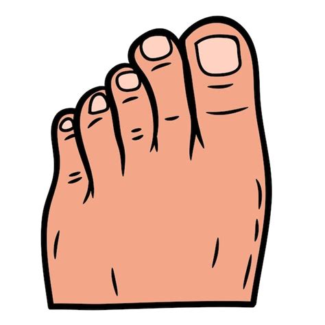 Toes Clipart Vectors And Illustrations For Free Download Freepik