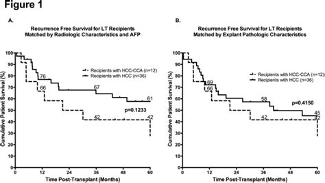 Comparative Analysis Of Patients With Mixed Hepatocellular