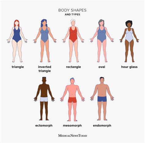 Body Types Examples At Larry Yockey Blog Body Types Examples At Larry Yockey Blog