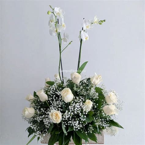 Di Estoy Contigo” Con Orquídeas Y Rosas Blancas