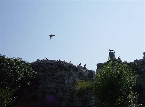 Hersones By Alisarinoviyks On Deviantart