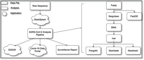 Sars Cov 2 Genomics Surveillance Architecture And Tools Incorporated
