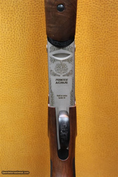 Pointer Acrius 20 Ga