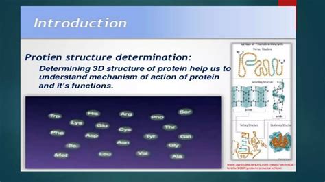 Methods To Determine Protein Structure Pptx