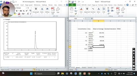 How To Plot A Linearity Graph In Excel Chromatogram Data Analysis And Excel Visualization Youtube