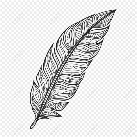 검은 윤곽선 스케치 드로잉이 있는 깃털 벡터폰트필적 Png 일러스트 무료 다운로드 Lovepik