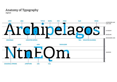 Anatomy Of A Typeface Jordpe