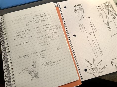 Notes For Class Sketches R Drugart