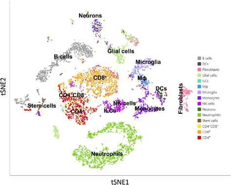 Tsne Map Of Individual Cell Types From Mouse Tg Mice Were Infected