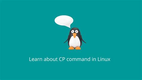 Learn About Cp Command In Linux Tekspace Blog
