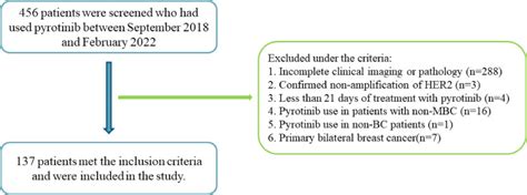 Efficacy And Safety Of Pyrotinib Based Regimens In Her2 Positive Metastatic Breast Cancer A