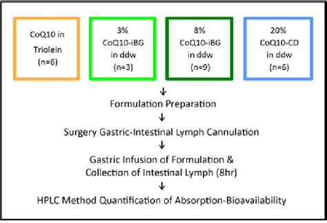 Study Design And Experimental Protocol For Determining The