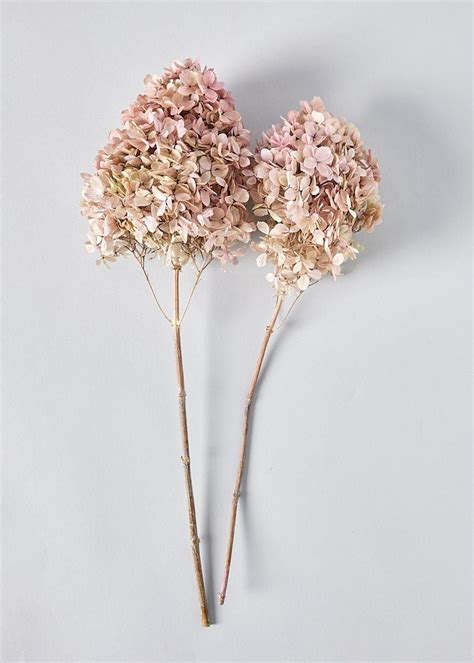 Light Mauve Pink Preserved Hydrangea Bundle Preserved Hydrangea