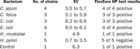 Anti H Pylori Igg Antibody Activity Of Serum Samples After Absorption Download Scientific