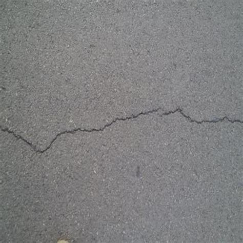 Deneme21 Classification Dataset By Bitirme