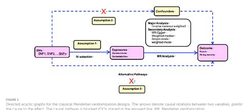 Figure 1 From Causal Associations Of Gut Microbiota And Metabolites On