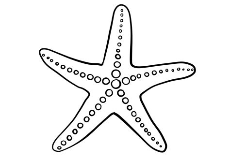 How To Draw A Starfish Design School