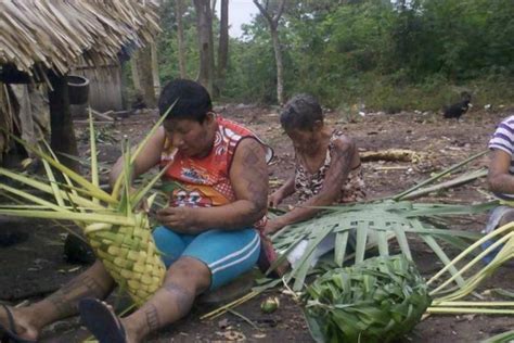 27 Facts About Arara Ohmyfacts