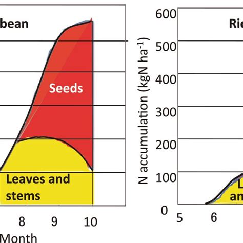 Pdf Role Of Nitrogen On Growth And Seed Yield Of Soybean And A New Fertilization Technique To