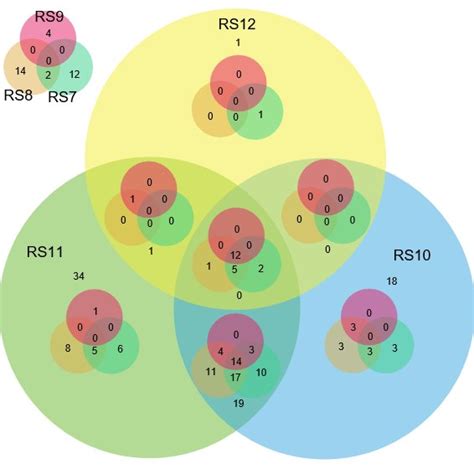 Common And Exclusive Known Mirnas Detected In Different Small Rna Download Scientific Diagram