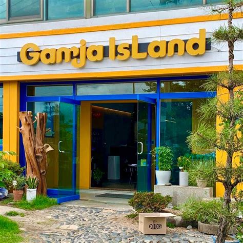 춘천라이크 강원도 특산물 감자로 맥주를 만드는 감자아일랜드 수제맥주 양조장 펍이 어우러진 세상 단 Facebook