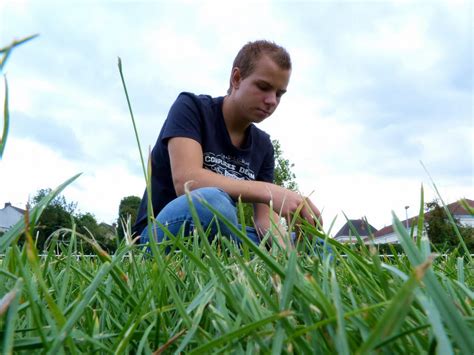 Counting Blades Of Grass By Poulet Cuiit On Deviantart