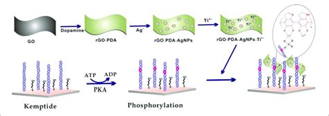 scheme 1 schematic illustration of electrochemical biosensor for pka