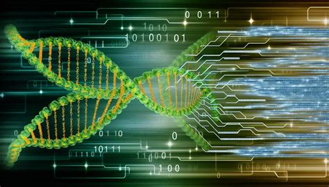 Implementing Machine Learning Through Genetic Algorithms A Guide