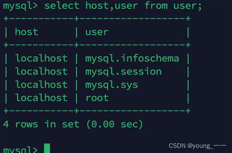 Linux安装 Mysql所有的匹配结果均已经被参数的模块化过滤条件筛除 Mysql Community Server Csdn博客