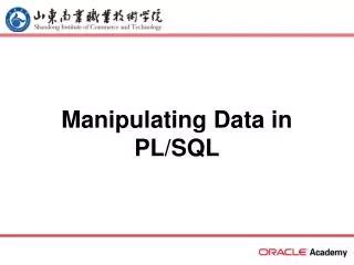 PPT - Data Types used in SQL PowerPoint Presentation, free download ...