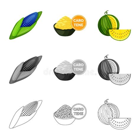 Vector Design Of Test And Synthetic Symbol Collection Of Test And Laboratory Stock Vector