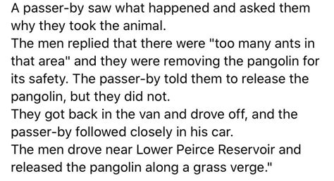 S Porean Man Fined S 5 000 For Bagging Moving Pangolin Nature Lovers Think It S Poaching