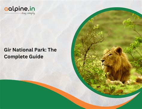 gir national park the complete guide statue of unity