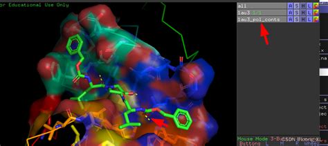 Pymol 分离蛋白与小分子保存;pymol分离蛋白多聚体亚基;pymol对接位点交互图展示;去除杂原子loongxl的博客 Csdn博客 Pymol 分离蛋白与小分子保存;pymol分离蛋白多聚体亚基;pymol对接位点交互图展示;去除杂原子loongxl的博客 Csdn博客